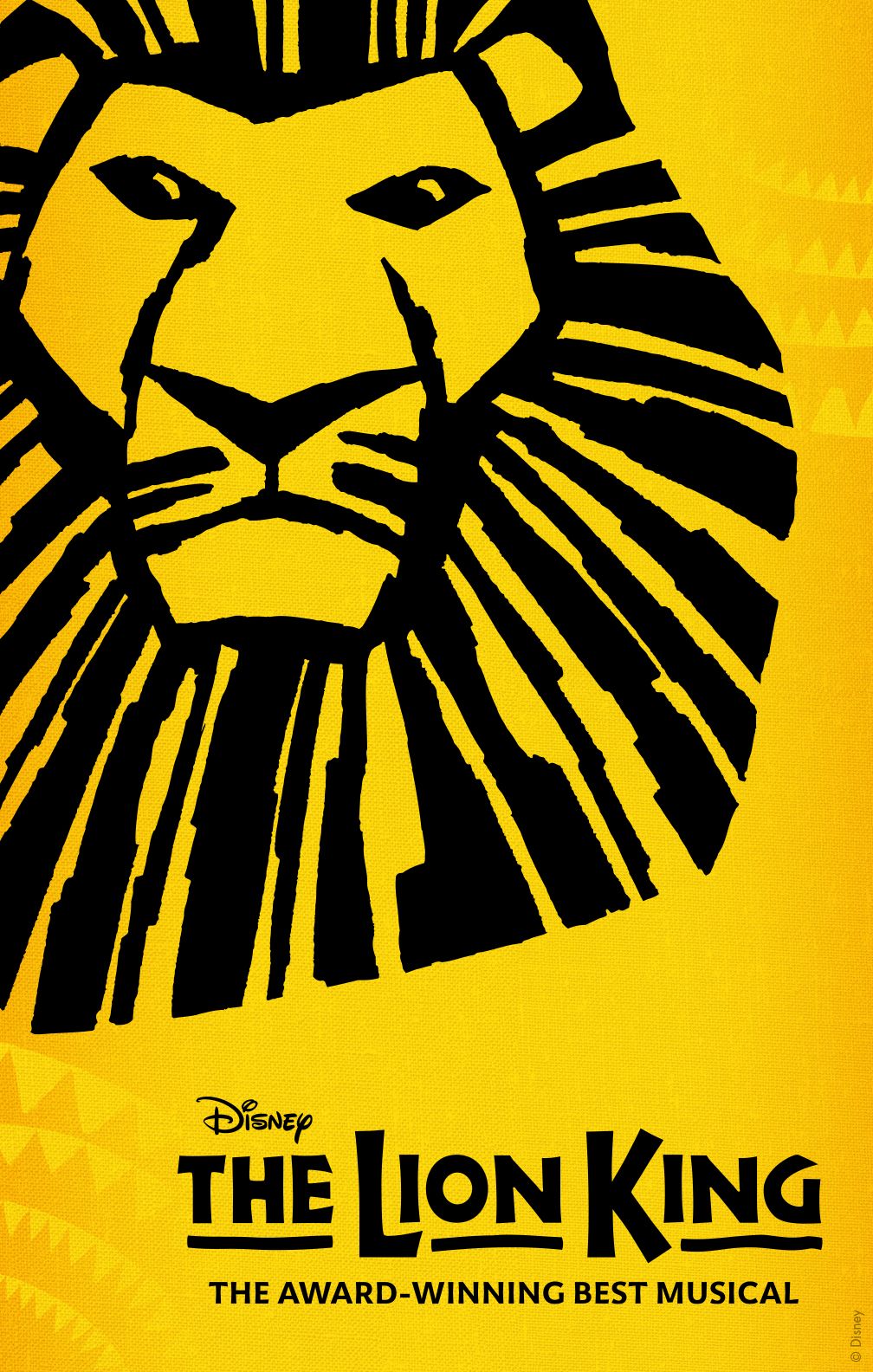 The Walt Disney Studios